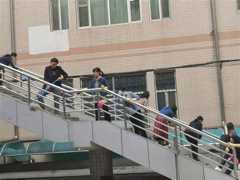 我为读者办实事—— 图书馆第二、第四党支部开展主题党日活动 东北林业大学 图书馆