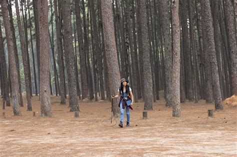 녹색 태양 열대 우림에서 트레킹하는 여자 여행자 배낭을 메고 열대 우림의 길을 걷는 여자 45 49세에 대한 스톡 사진 및 기타