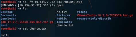 Kali工具的使用 Netcatkali Netcat Csdn博客