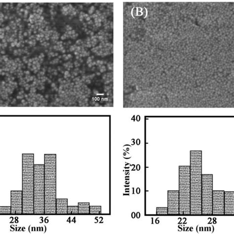 SEM Images Of A GA AgNPs 35 Nm B GA AuNPs 24 Nm On Glass Substrate