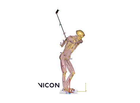 From Vicon Motion Capture Data To Musculoskeletal Analysis Using Anybody Anybody Technology