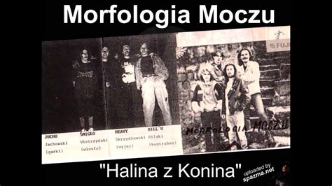Morfologia Moczu Halina Z Konina Youtube