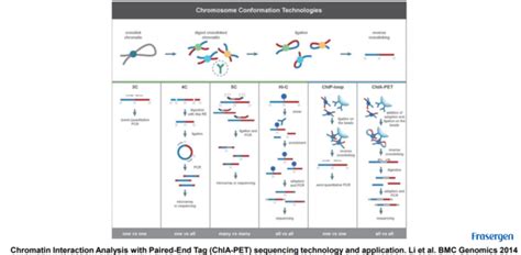 三维基因组技术（一）：简单介绍 Public Library Of Bioinformatics