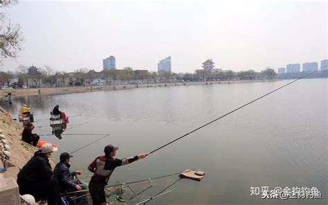 记住这100条钓鱼口诀，钓遍天下都不怕！ 知乎