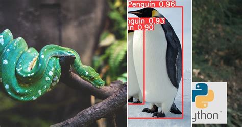 List Faunaai Curated By Cengiz Cetinkaya Medium