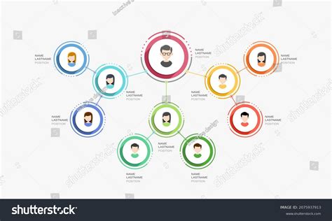 Business Organogram Chart Infographics Structure Management Stock