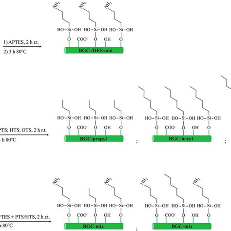 Functionalization Of Cncs In Two Steps 1 Stirring 2 H At Room