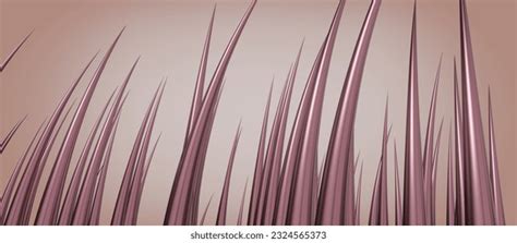 Healthy Hair Follicles Under Microscope 3d Stock Illustration