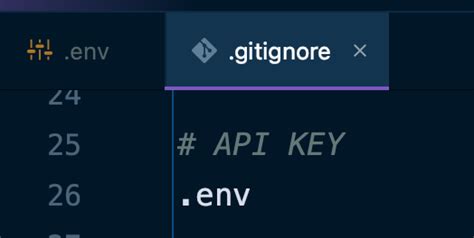 Api Env
