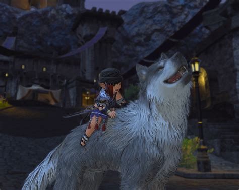 Fun With Torgal R Ffxiv