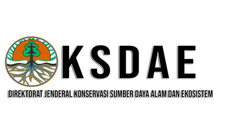 Balai Besar Taman Nasional Betung Kerihun Dan Danau Sentarum The Exotic Borneo