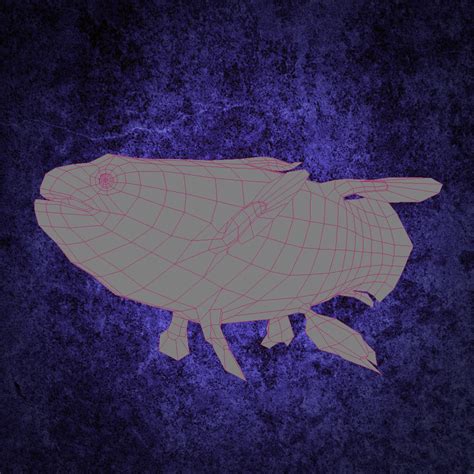 Coelacanth 3d Model 5 3ds Fbx Ma Max Obj Free3d