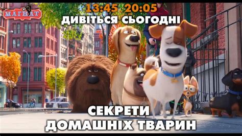 Секрети домашніх тварин Трейлер Youtube