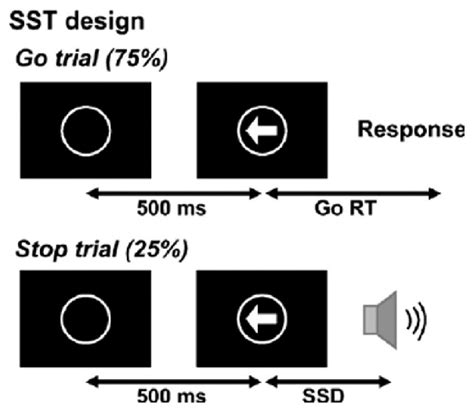 Schematic Representation Of The Stop Signal Paradigm The Stop Signal