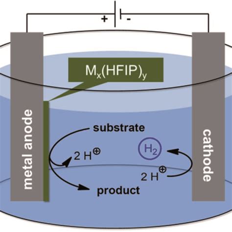 Schematic Representation Of An Active Anode Within Dehydrogenative Download Scientific Diagram