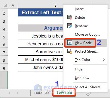How To Extract Certain Text From A Cell In Excel VBA Codes