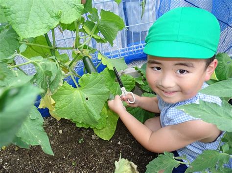 新着情報 ｜ 照ヶ丘幼稚園