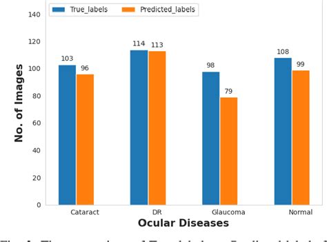 Figure 3 From Classification Of Ocular Diseases Using Retinal Fundus Images By Leveraging