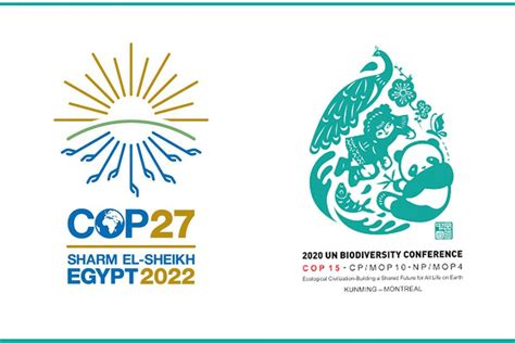 Looking Ahead To Cop27 And Cop15 Office For Justice Ecology And Peace
