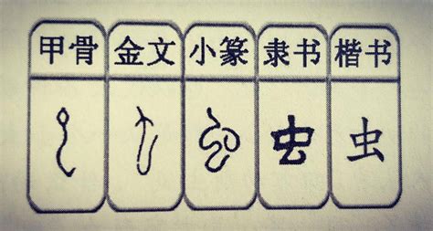 虫的象形字 麦的象形字 伤感说说吧