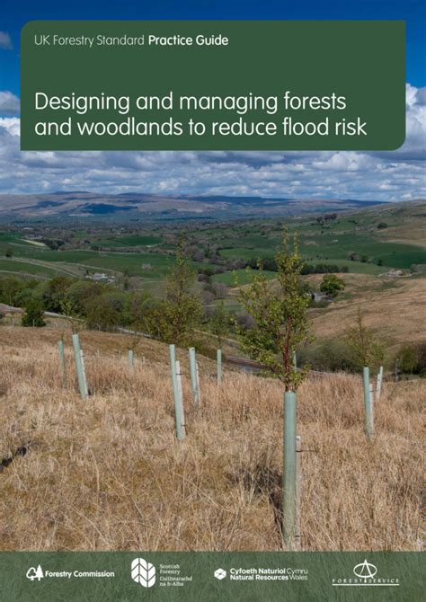 Using Trees To Combat Flooding Forest Machine Magazine