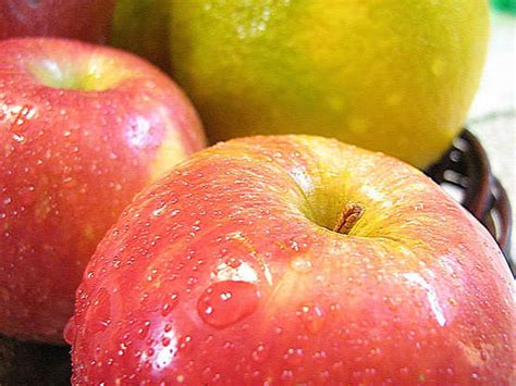 Apples Vs Oranges Which Is The Healthier Choice