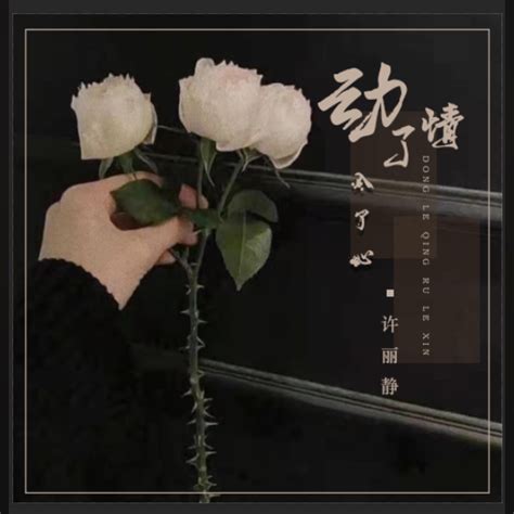 ‎《动了情入了心 Single》 许丽静的专辑 Apple Music