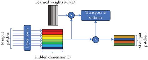 A Overview Of Patch Merger Architecture And The Inputoutput Streams Download Scientific