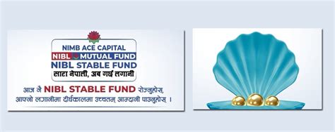 एनआइबिएल स्टेबल फन्ड योजनाको इकाईको बाँडफाँड बुधबार हुने