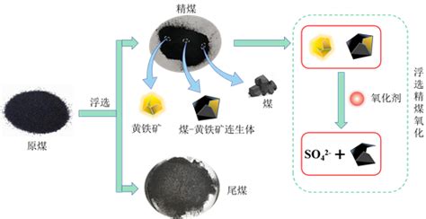 细粒煤高效分选及衍生废弃物再利用技术 煤炭安全生产与清洁高效利用省部共建协同创新中心
