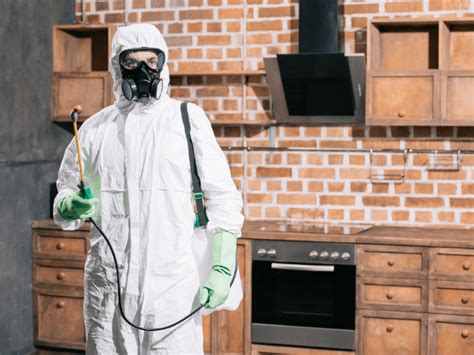 Termatrac Termite Detection Uses A Detection Radar Blog