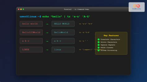 Set Command Linux Display And Configure Shell Options For Advanced