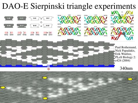 Ppt Algorithmic Self Assembly For Nano Scale Fabrication Powerpoint