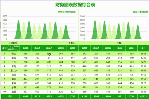 耗时30天！成都姑娘用excel函数编制288套高端财务报表