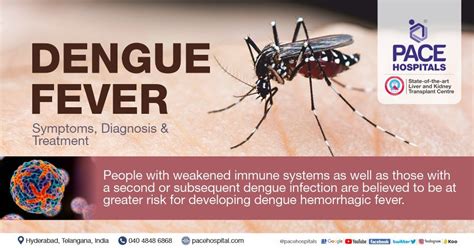 Dengue Fever Symptoms Causes Diagnosis And Treatment