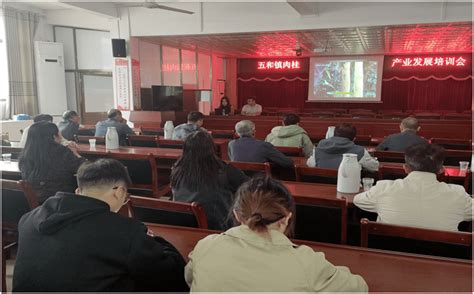 驻五和镇帮扶工作队：以知识孵育人才，夯实产业发展基础肉桂加工广宁