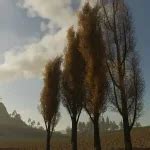 TREES V FS Mod FS Net