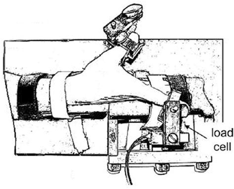 Schematic Representation Of The Ergometer For The Recording Of The Download Scientific Diagram