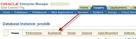 Switchover To A Physical Standby Using Oracle Enterprise Manager 11gr1