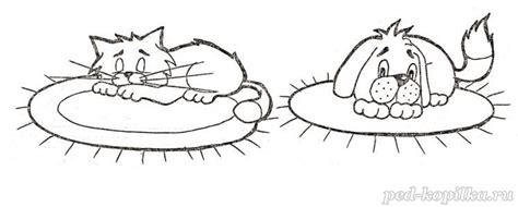 Развивающее задание в картинках для детей 4 5 лет У собачки и кошки
