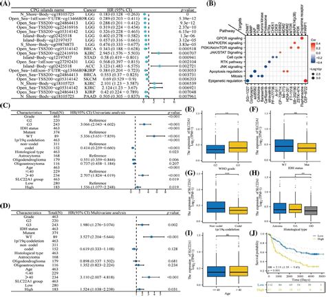 Biocell Free Full Text Bioinformatics Comprehensive Analysis