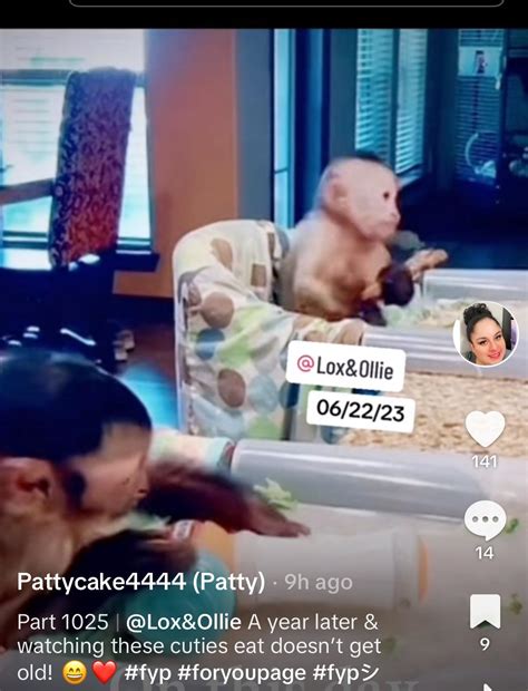 A Year And 5 More Monkeys Later No More Meal Times Monkeys Live In