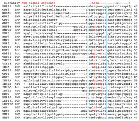 Prodomain Assn Region Structurally Guided Refined Alignment 60 Residue