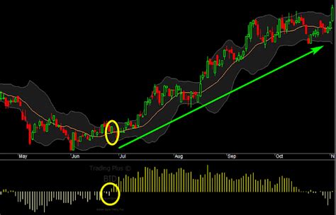 f186 afl amibroker histogram signal trading code amibroker tín hiệu