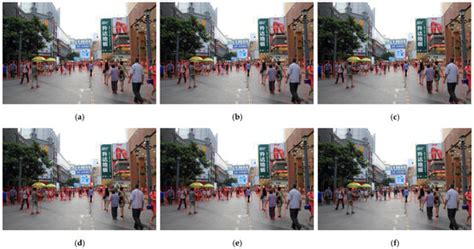 Electronics Free Full Text Yolov8 Cb Dense Pedestrian Detection