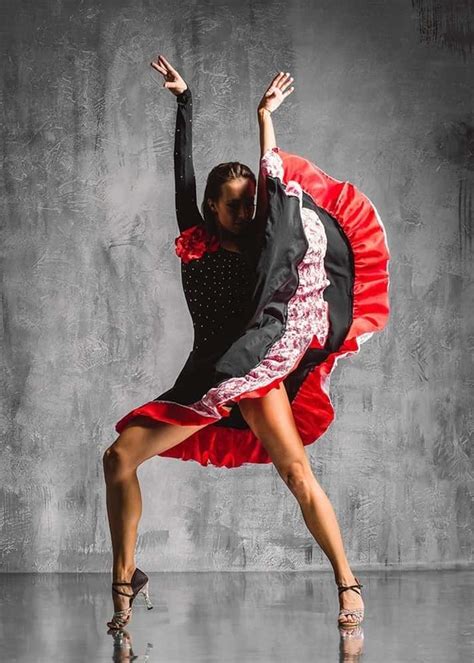 Premium Acrylic Wall Art Flamenco By Jandm Furniture Contemporary