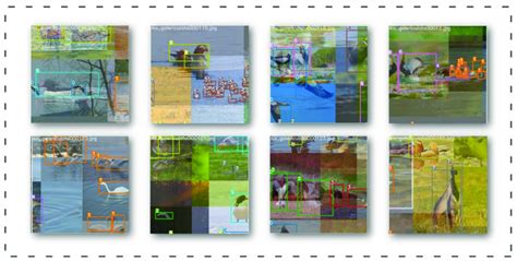 Images After The Mixup Augmentation Processing Download Scientific Diagram