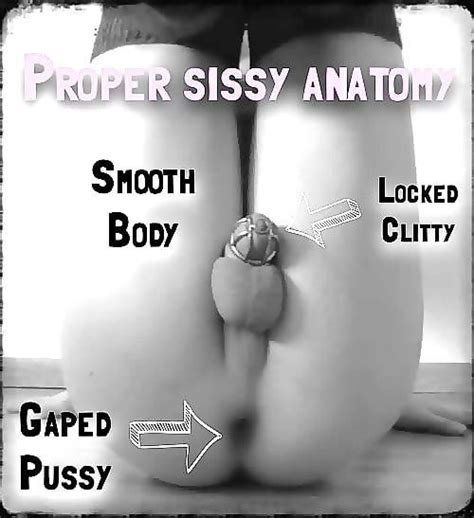 Proper Sissy Anatomy Aleytsissy