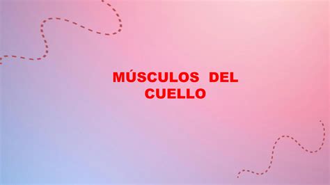 SOLUTION M Sculos Del Cuello Studypool