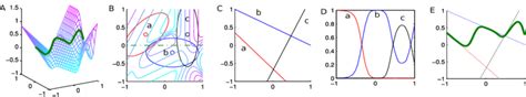 Function Approximation In Locally Weighted Regression Models A The